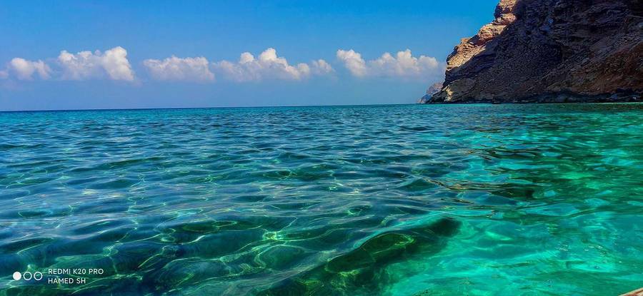 See The 12 Unique Targeted Sites in Socotra Island – 2SOCOTRA